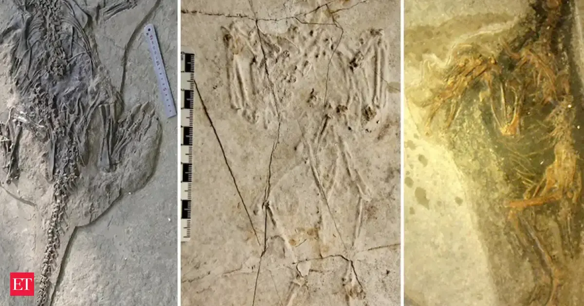 Dinosaurs found frozen mid-sleep after prehistoric ash burial similar ...