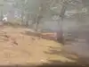 mapozi ya picha location: Latest News & Videos, Photos about mapozi ya ...