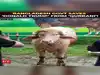 ups pilots last words Videos: Watch ups pilots last words News Video ...