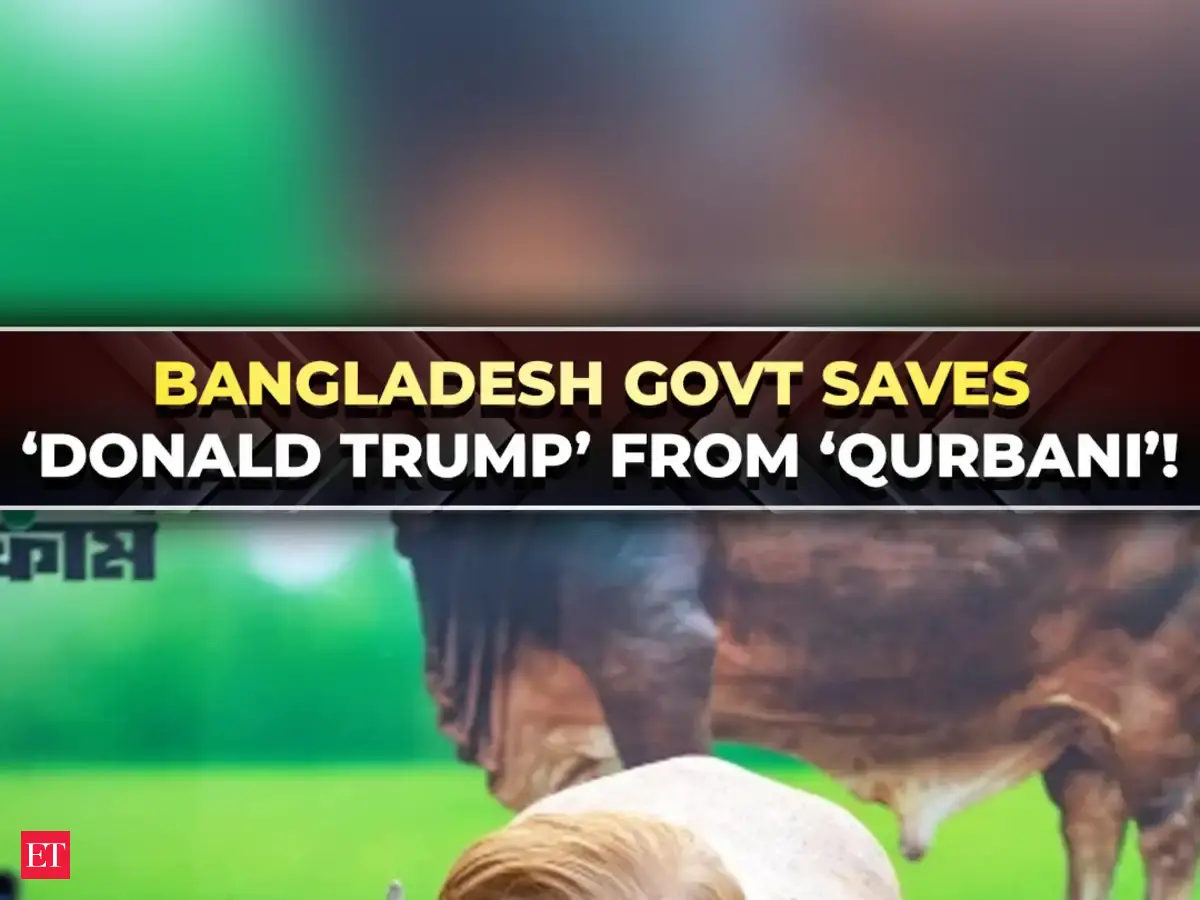 Viral Albino Buffalo in Bangladesh gets last-minute rescue from ...