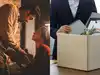 tamasha quitting jobs: Latest News & Videos, Photos about tamasha ...