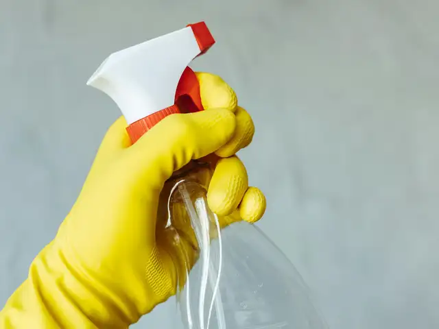 How to remove pests from your house without chemical sprays - 5 tips to ...