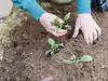 psychology of people who help: Latest News & Videos, Photos about ...