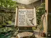 is independent what change: Latest News & Videos, Photos about is ...