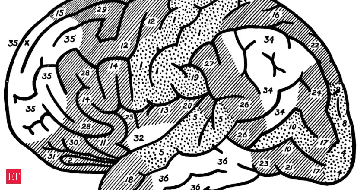 Sharpen your memory with these 8 simple morning habits: Psychologists ...