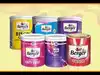 berger paints head offibangalore contact details bangalore contact ...