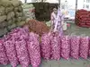 india onion market: Latest News & Videos, Photos about india onion ...