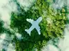 why are vascular plants are known as tracheophytes News and Updates ...
