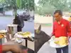 chhota don ka viral sticker: Latest News & Videos, Photos about chhota ...