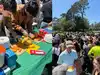 tera box mms viral leak phadi girl video xxx: Latest News & Videos ...