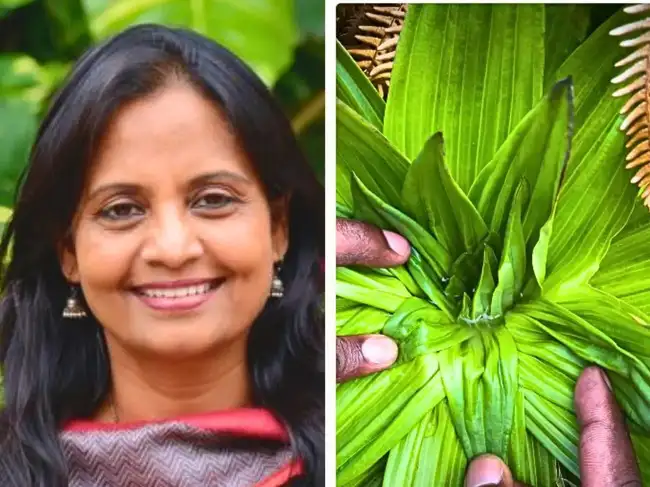 Supriya Sahu IAS is fascinated by this rare Nilgris plant: Even in ...