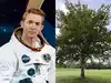 tree seeds: Latest News & Videos, Photos about tree seeds | The ...