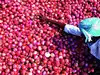torzon market onion official site torzon darknetmarket com: Latest News ...