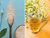 types of non laxative fiber supplement for good gut health: Latest News ...
