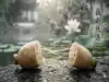 chinese companies investment in india: Latest News & Videos, Photos ...