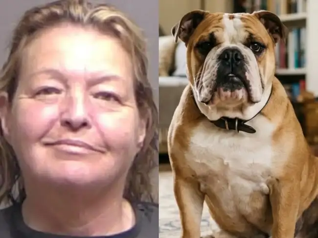Florida Grandmother unleashes Pit bull as five kids flee into restroom ...