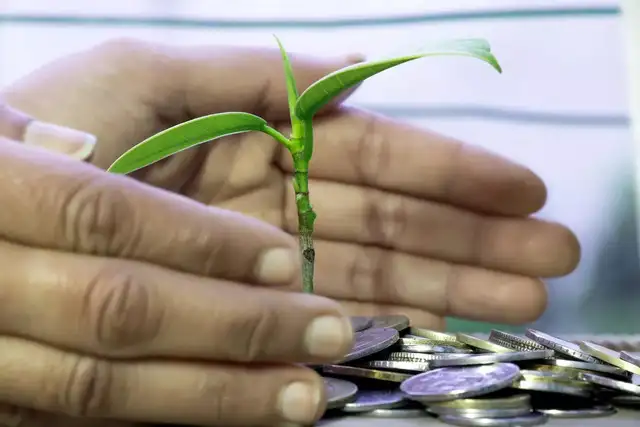 Edelweiss Small Cap, 7 other smallcap funds that have shown consistent ...