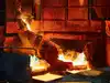 sulphuric acid News and Updates from The Economic Times - Page 1