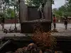 palm oil prices: Latest News & Videos, Photos about palm oil prices ...
