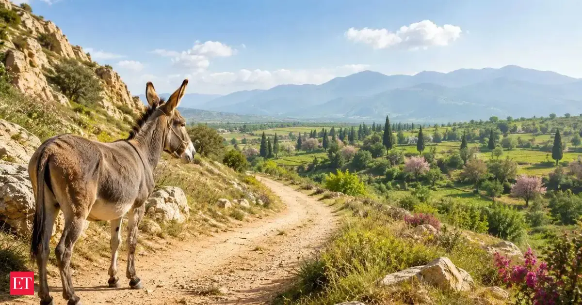 life lessons on success: Iranian Proverb of the Day: ‘The donkey that ...