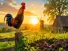 bing homepage quiz tomorrow morning: Latest News & Videos, Photos about ...