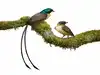 apple from birds eye of view no stem: Latest News & Videos, Photos ...