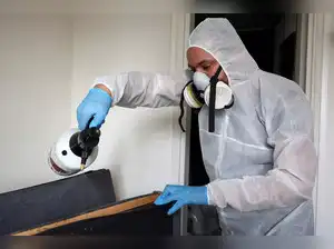 aphis: Bed bugs torment Trump administration's USDA office as ...
