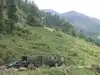 taiba militant sajjad haider: Latest News & Videos, Photos about taiba ...