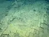 yellow brick road ocean: Latest News & Videos, Photos about yellow ...