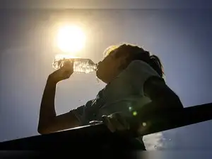 Heat waves demand more than just water for proper hydration ...