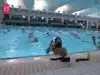 dubai princess sheikha mahra: Latest News & Videos, Photos about dubai ...