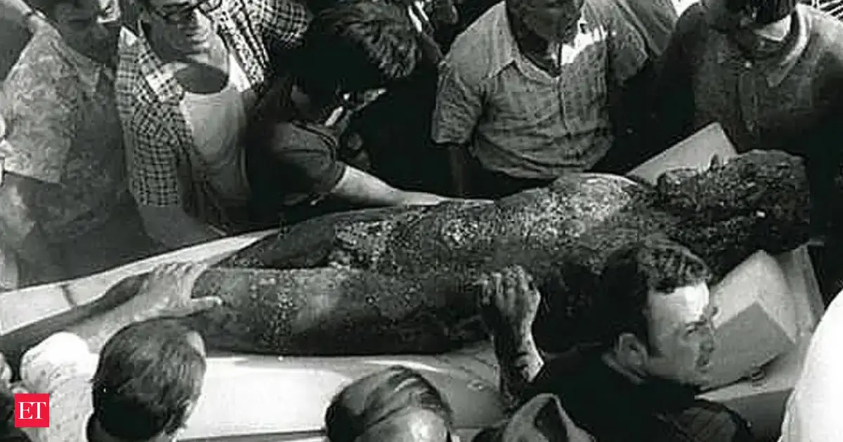 In 1972, a diver off Italy noticed a human arm rising from the sand ...