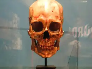 In 1996, two students wading in the Columbia found a skull, and an ...