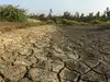 damaged crops: Latest News & Videos, Photos about damaged crops | The ...