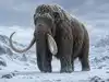 check years old based on dob: Latest News & Videos, Photos about check ...