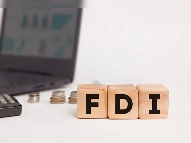 FDI equity inflows up 18% in FY26, US investments double - The Economic ...