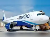 IndiGo shares snap 3-day rally, fall over 1% as airline suspends ...
