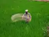 fertiliser crisis: Latest News & Videos, Photos about fertiliser crisis ...