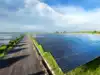 ngt green signal nicobar port News and Updates from The Economic Times ...