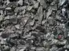 forest app developer father was a forest officer: Latest News & Videos ...