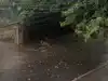 dessa forest of doda district: Latest News & Videos, Photos about dessa ...