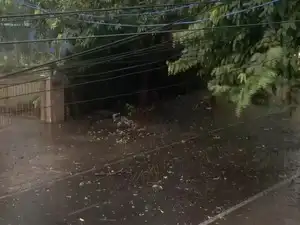 Odisha: Heavy rain lashes Bhubaneshwar, IMD issues state-wide warning ...
