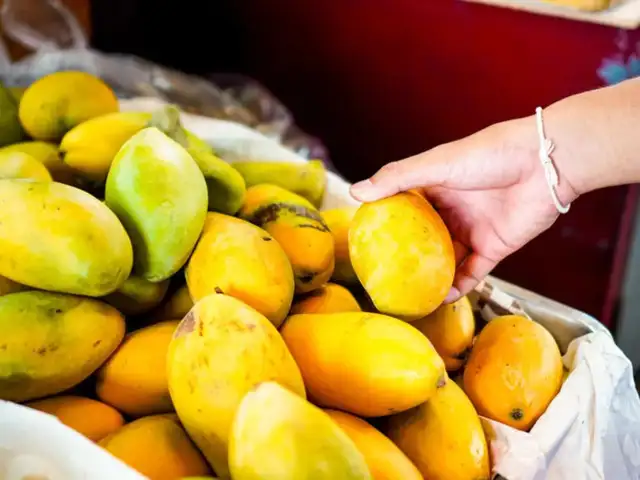 Don’t get cheated: 7 easy tips to pick sweet & juicy mangoes while ...