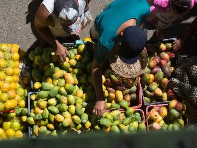 Don’t get cheated: 7 easy tips to pick sweet & juicy mangoes while ...