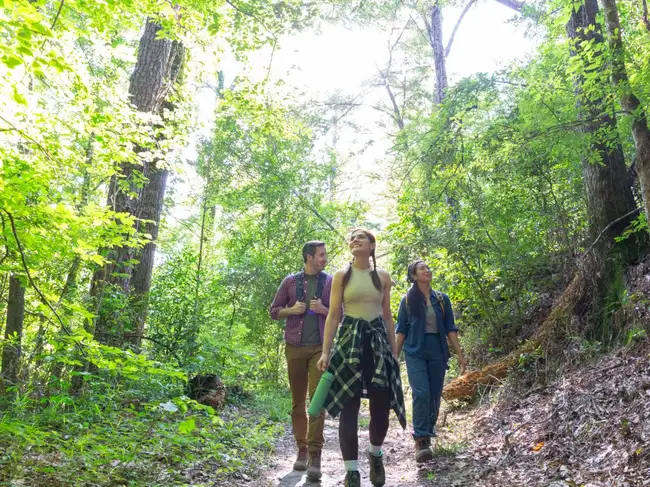 The Emerald Labyrinth: Louisiana’s “Year of Outdoors” theme offers ...