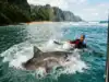 shark tank ashneer grover: Latest News & Videos, Photos about shark ...
