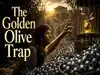 sameer golden transport jaipur: Latest News & Videos, Photos about ...