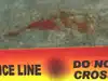 cleveland meteor strike today News and Updates from The Economic Times ...