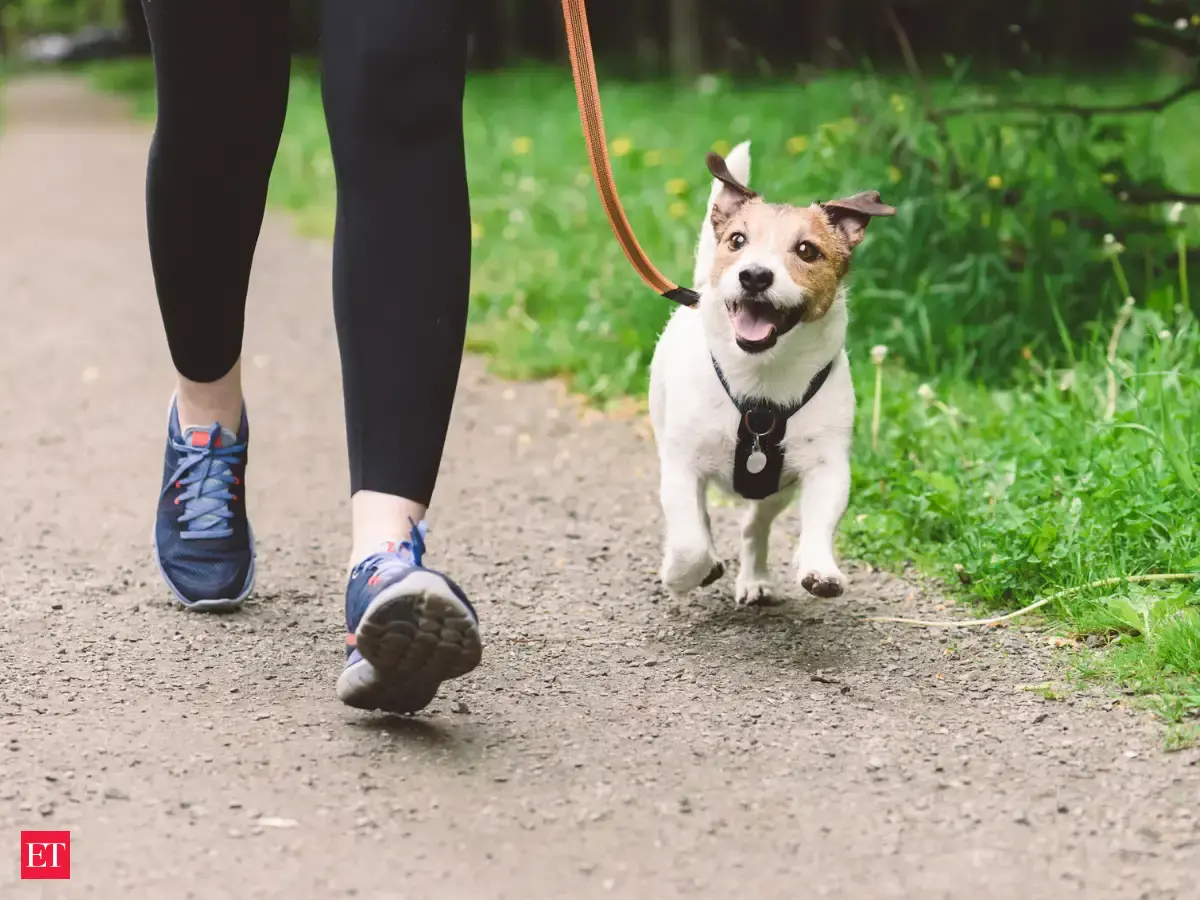 5 Activities to Instantly Bust Stress - Move your body: Go for a brisk ...