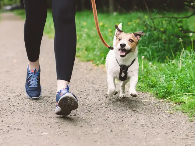 5 Activities to Instantly Bust Stress - Move your body: Go for a brisk ...